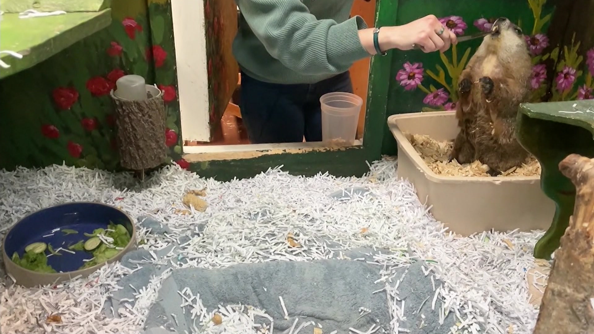 News 12 | Long Island | Educational fun at the Lutz Children's Museum ...