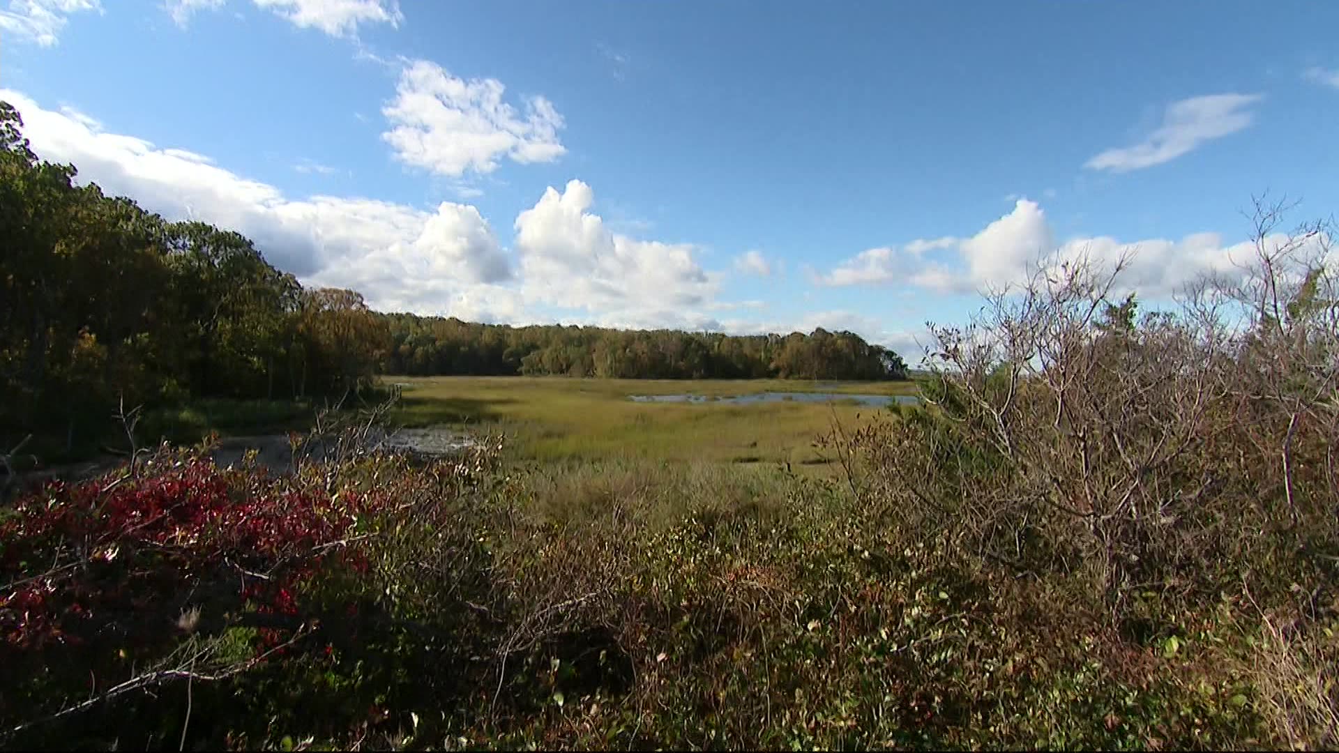 Enjoy picturesque paths and miles of scenic nature trails at Caumsett ...