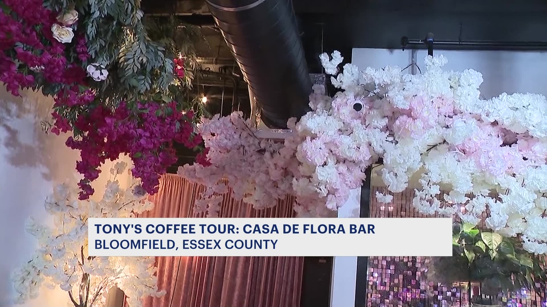 New Jersey Coffee Tour: Casa De Flora Bar in Bloomfield