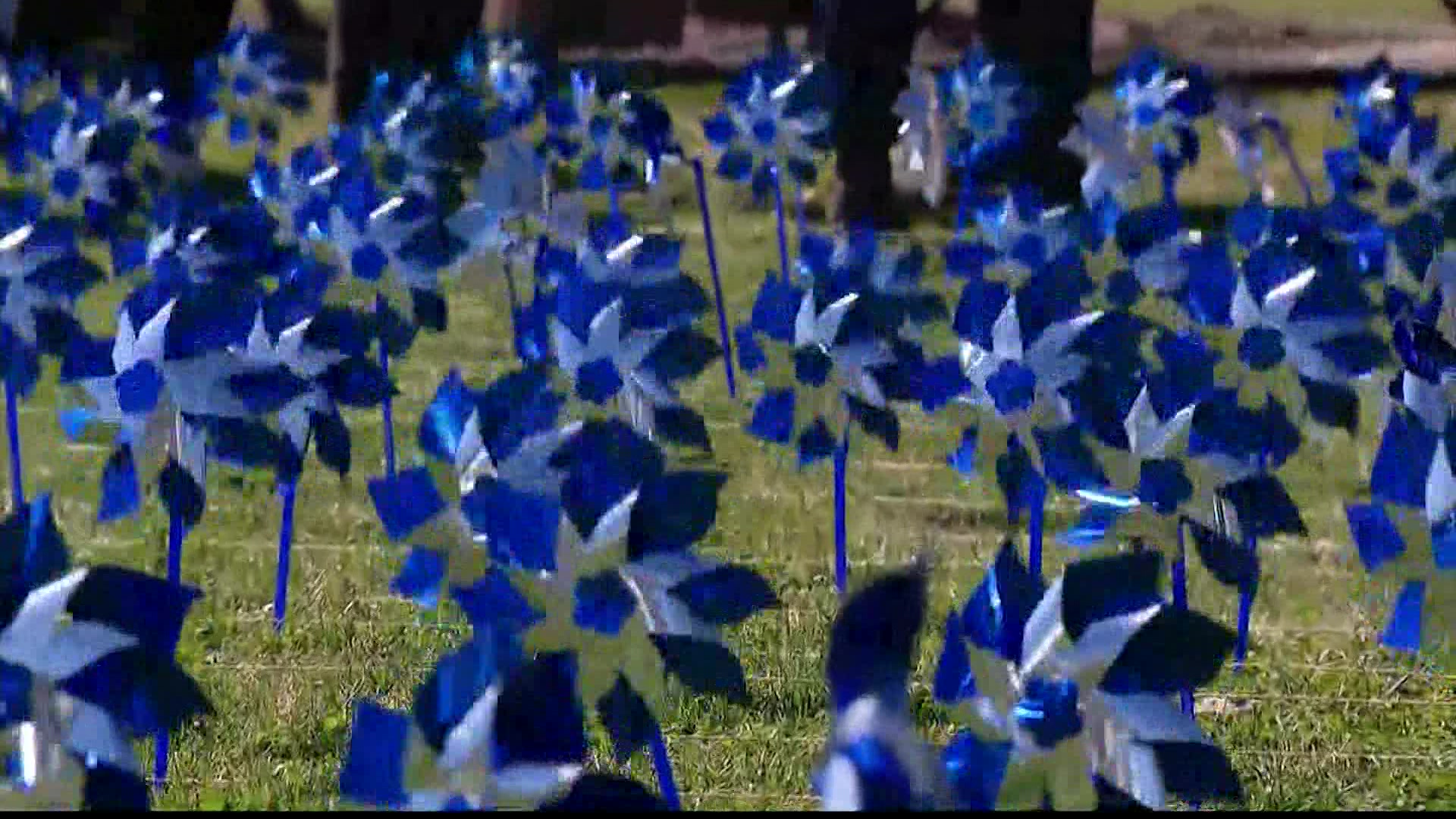 Hundreds of pinwheels planted at Long Island parks for National Child ...