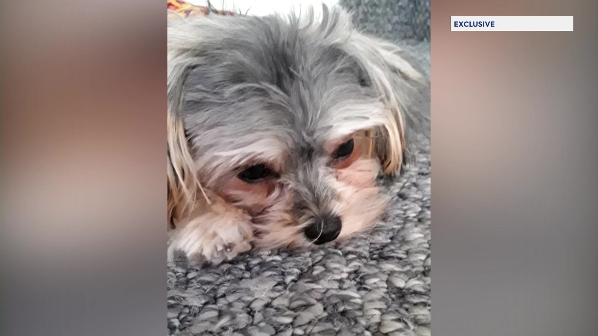 News 12 | Long Island | Freeport Family Devastated Over Handling Of ...
