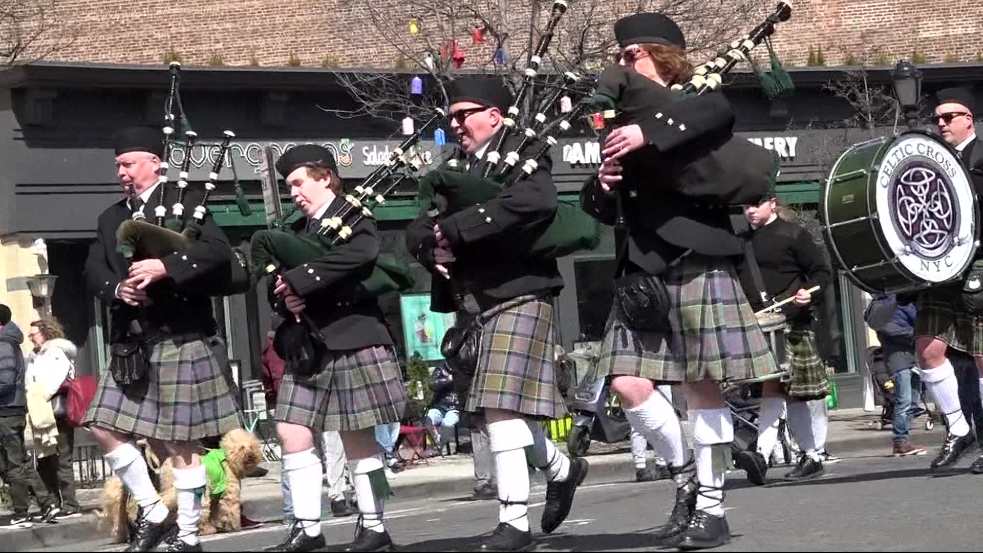 News 12 | Brooklyn | 48th Annual Brooklyn St Patricks Day Parade ...