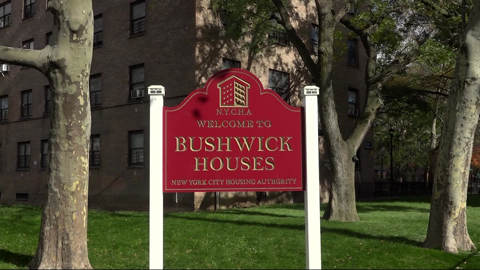 News 12 | Brooklyn | Bushwick Resident Says Mice Have Infested Her Home ...