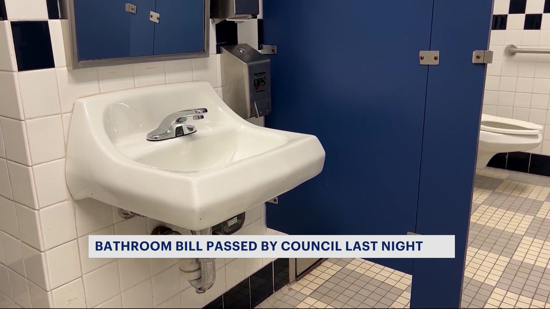 City Council passes bill requiring release of reports on public ...