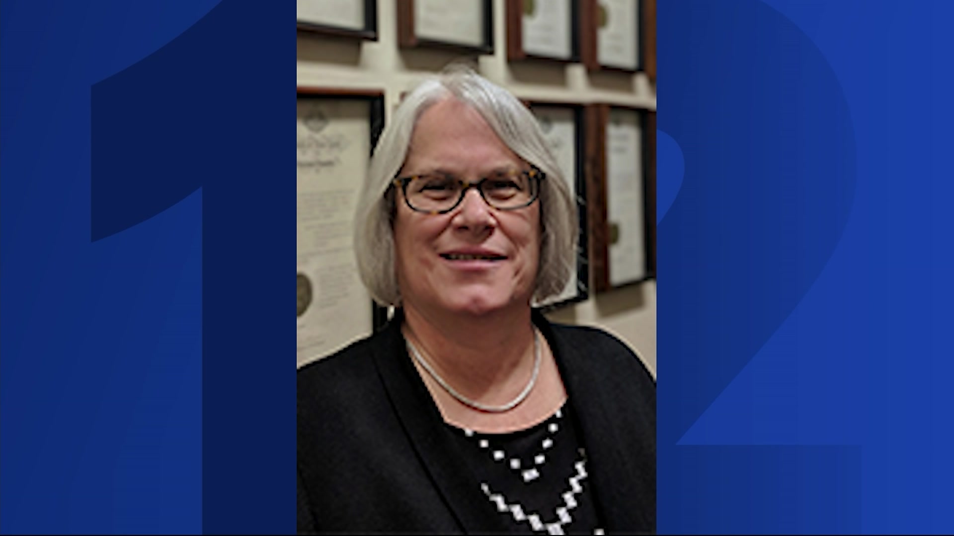 Brooklyn Assemblywoman Helene Weinstein announces retirement