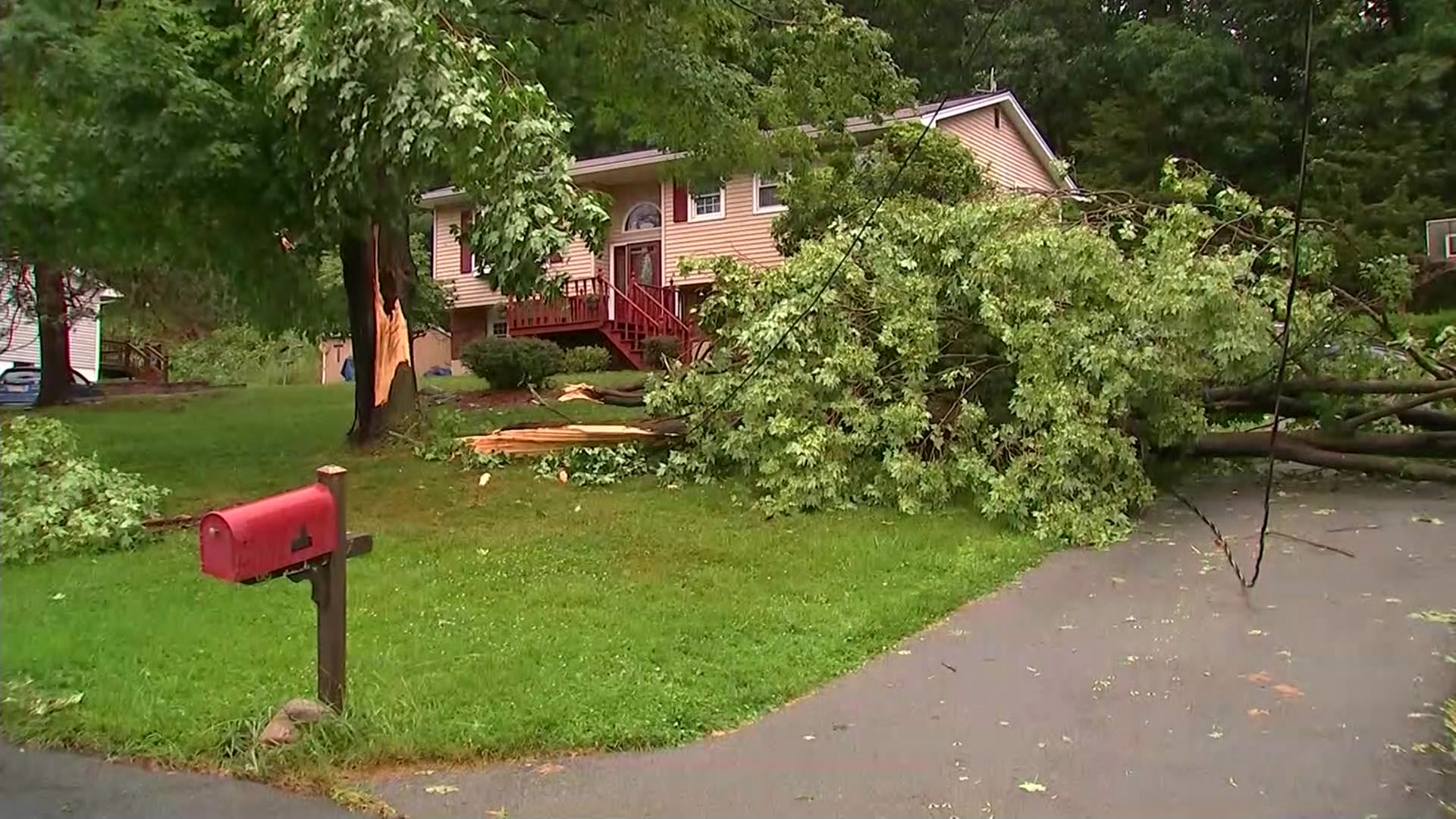 News 12 | Westchester | “It looked like a tornado.” Severe weather hits ...