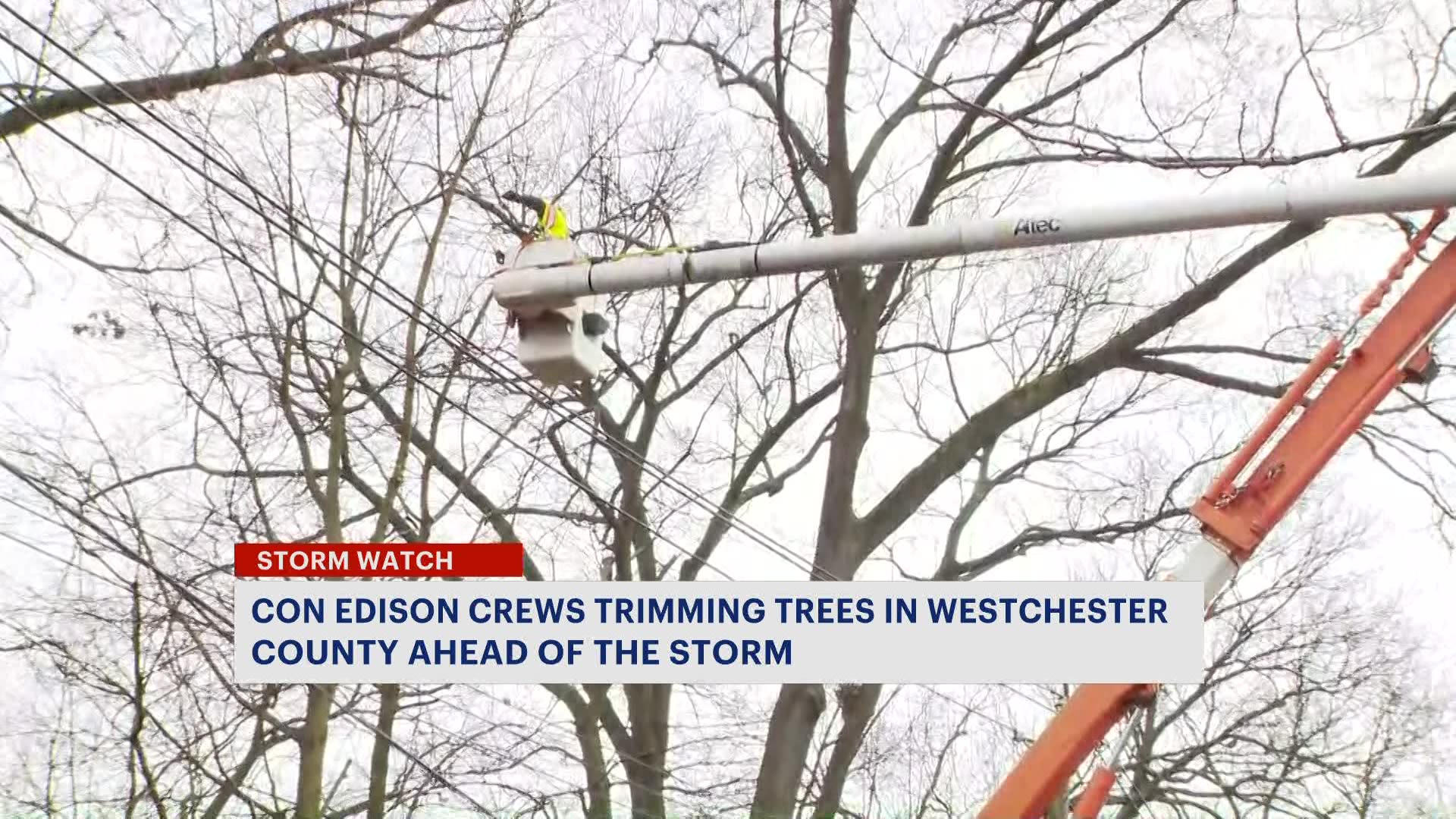 Con Edison crews in Westchester proactively trim trees ahead of storm