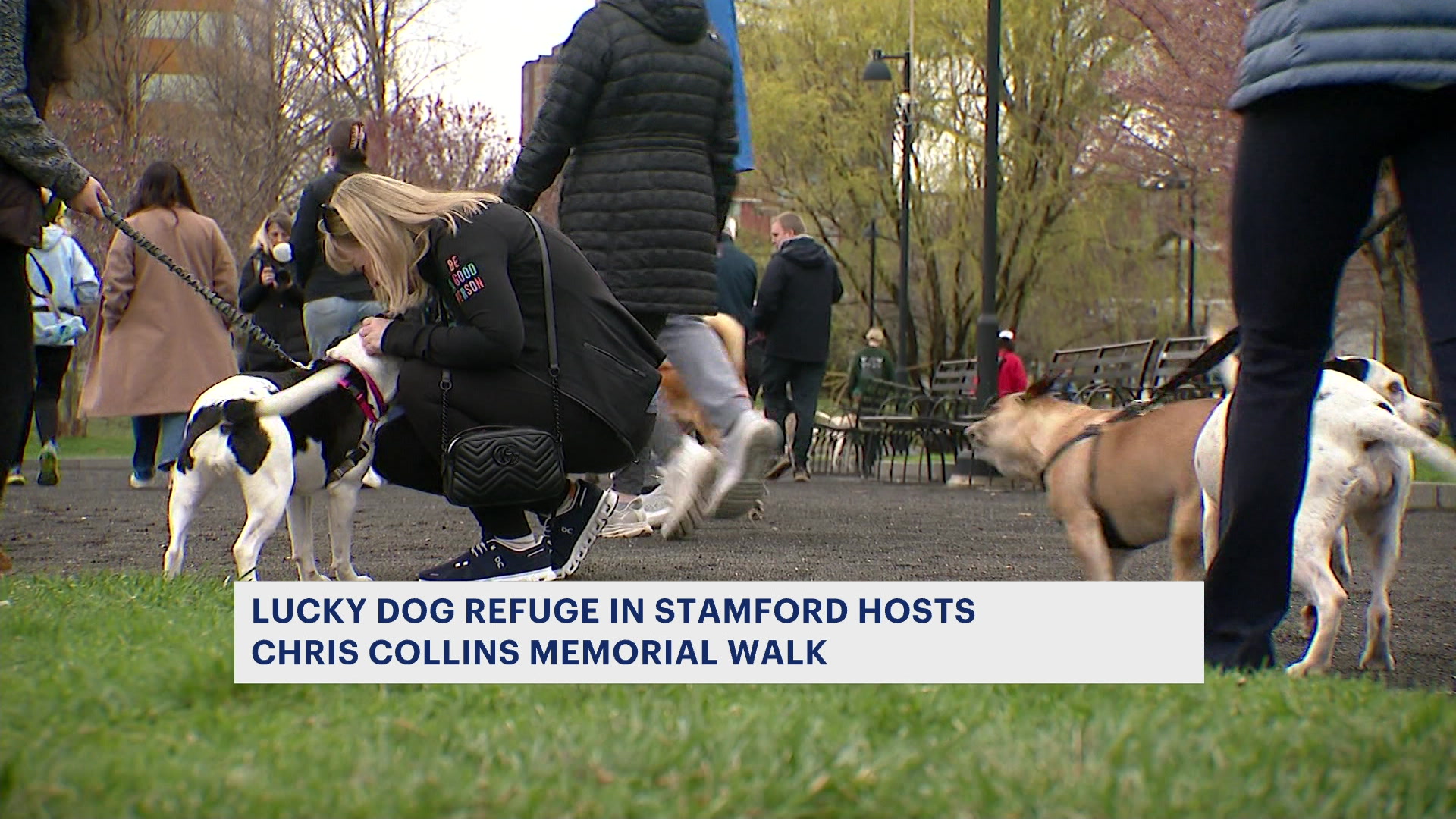News 12 | Connecticut | Memorial Walk In Stamford Remembers Victim Of ...