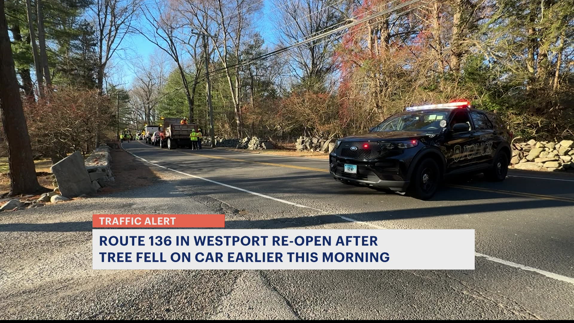 Police: Tree fell on car in Westport; driver hospitalized