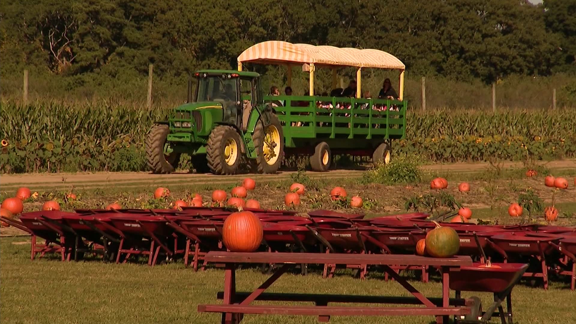 Enjoy a fun fall weekend with the family at Fink's Country Farm