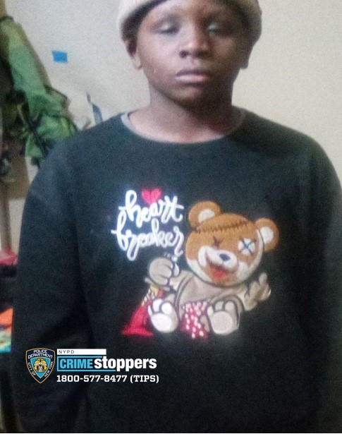 News 12 | Brooklyn | Nypd Two Boys 11 And 13 Missing Since Last Friday