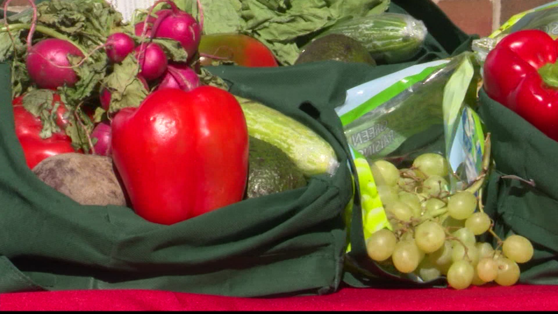 Project DASH marks milestone of 75,000 deliveries to people in need of ...