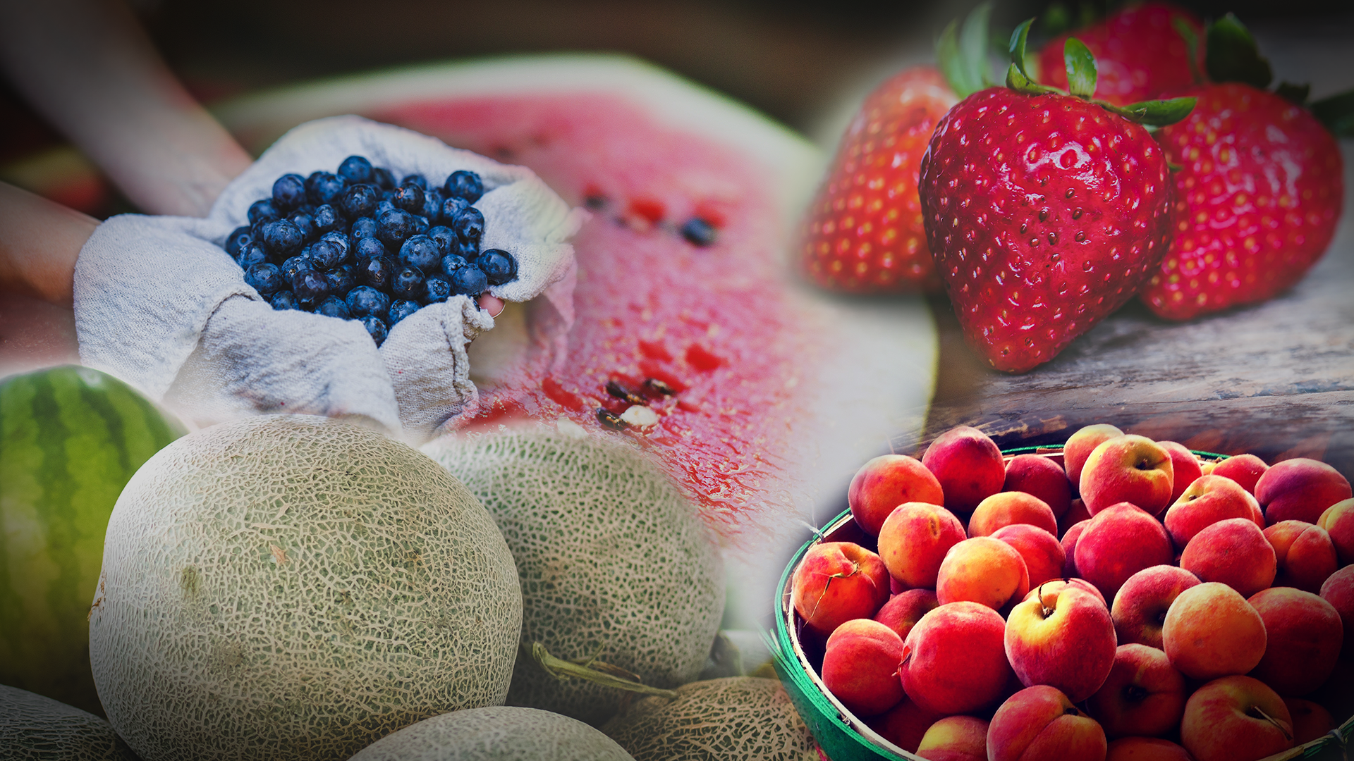 Mississippi joins New Jersey in listing official state fruit as blueberries