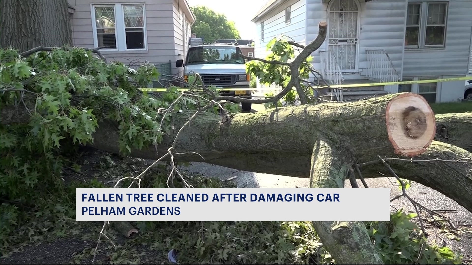 Fallen tree branch crushes windshield, leaves mess on Pelham Gardens street