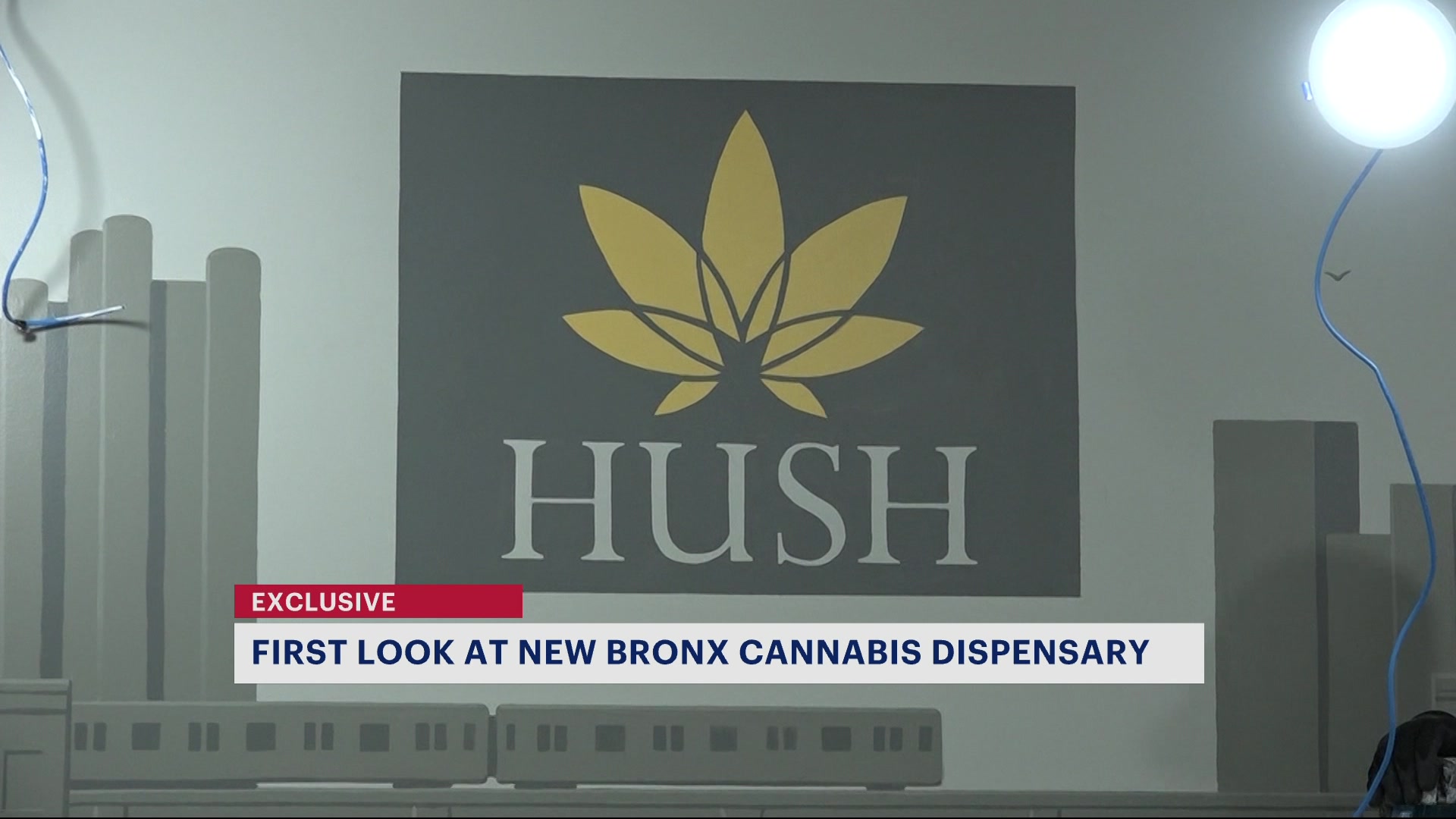 News 12 | Bronx | Bronxs First Cannabis Dispensary Opening Soon But ...