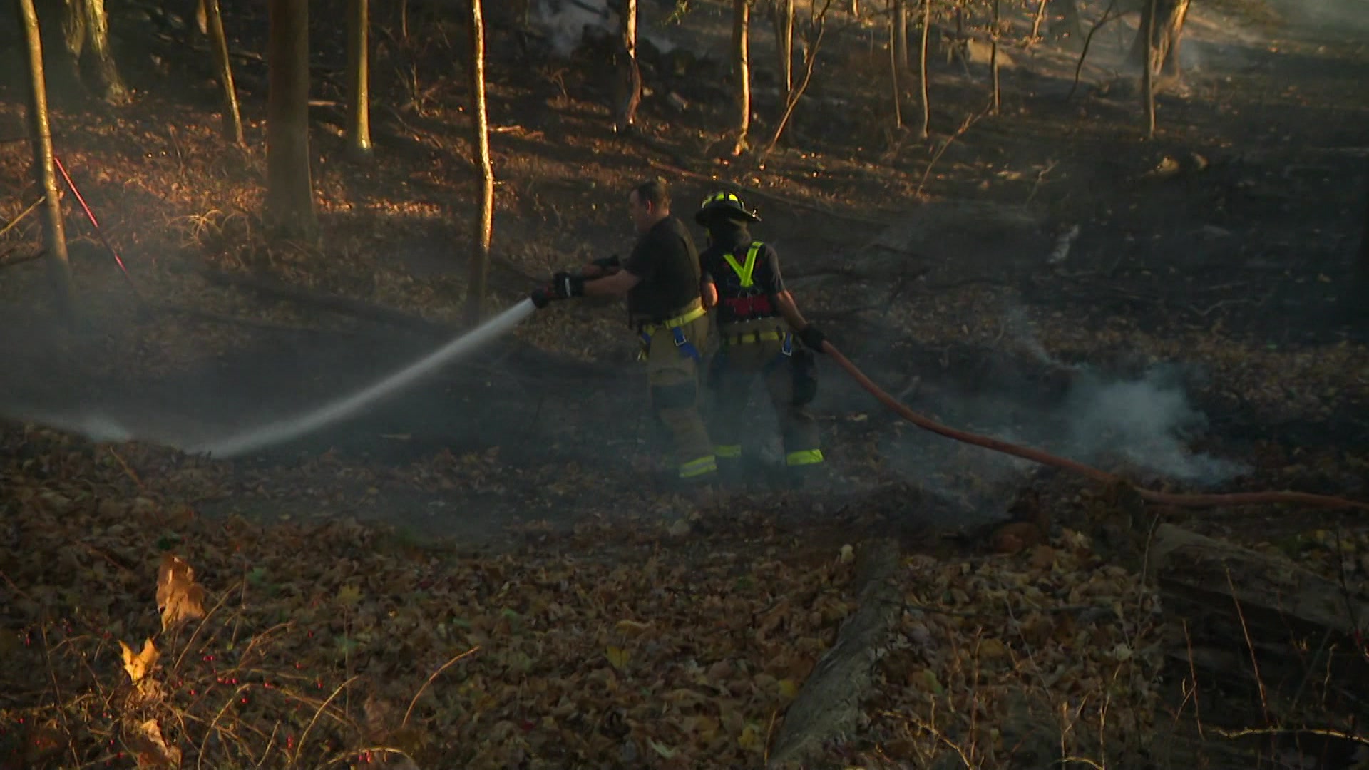 Brush fire burns in Montrose