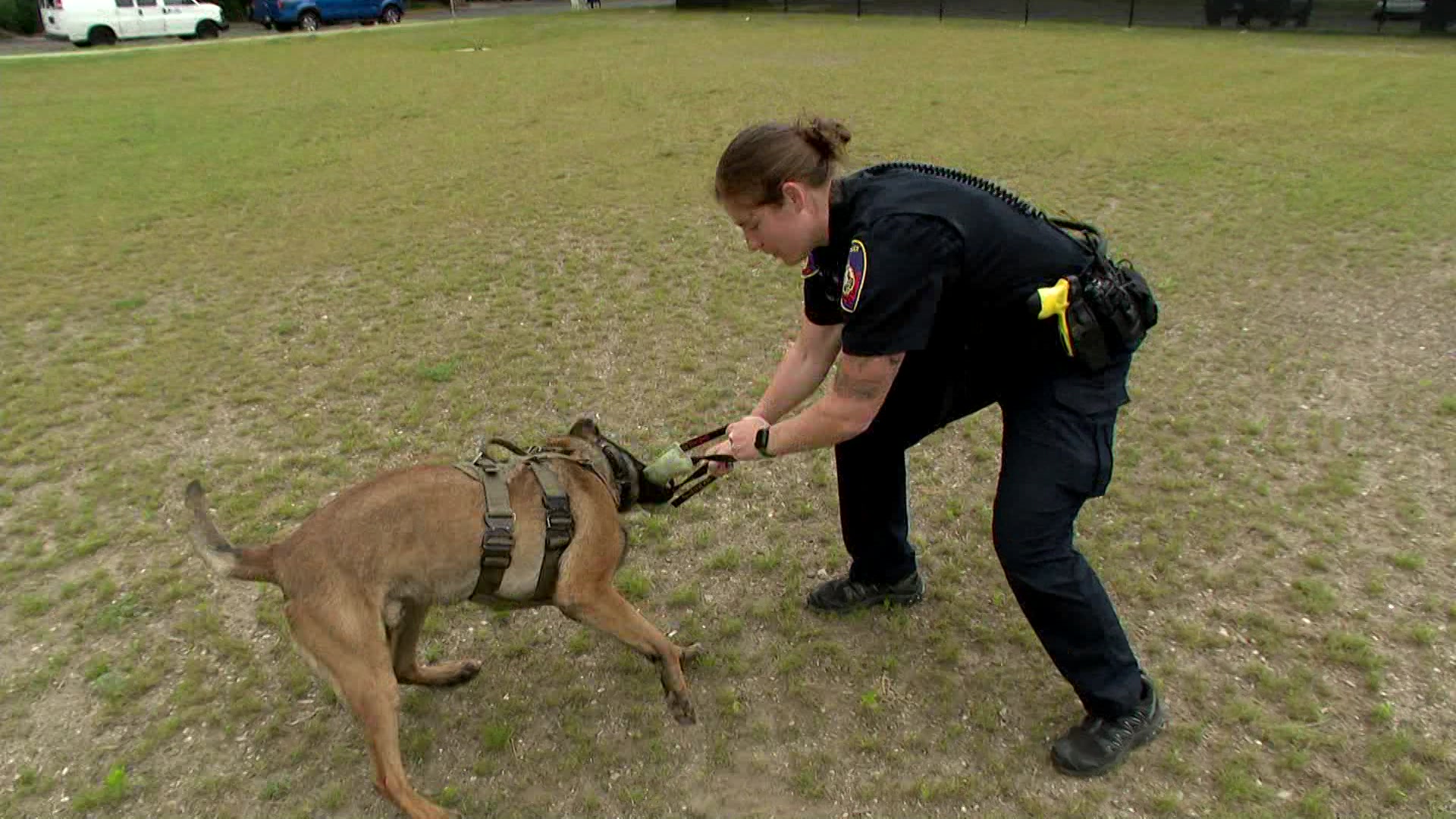 'Can I still get back into it?' Stamford police officer becomes first ...