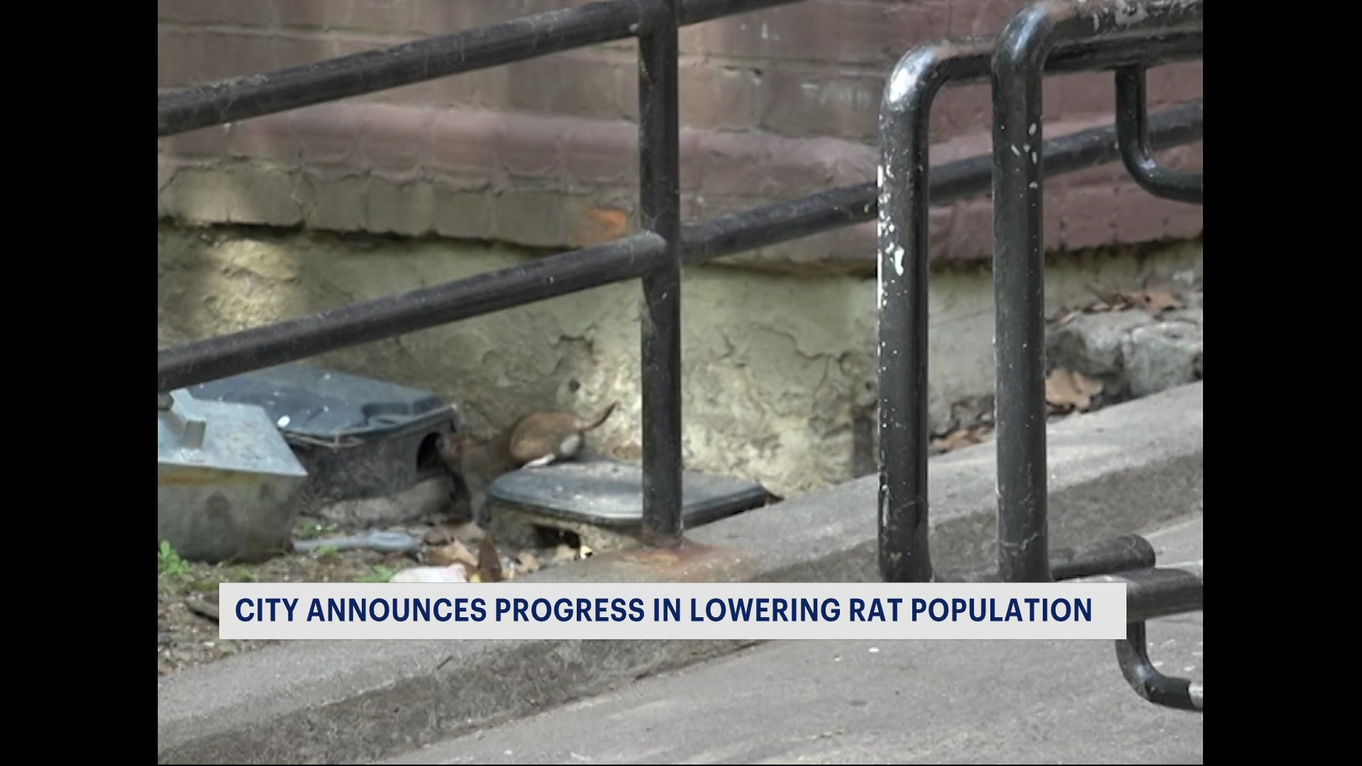 Mayor weighs in on war against rats across NYC