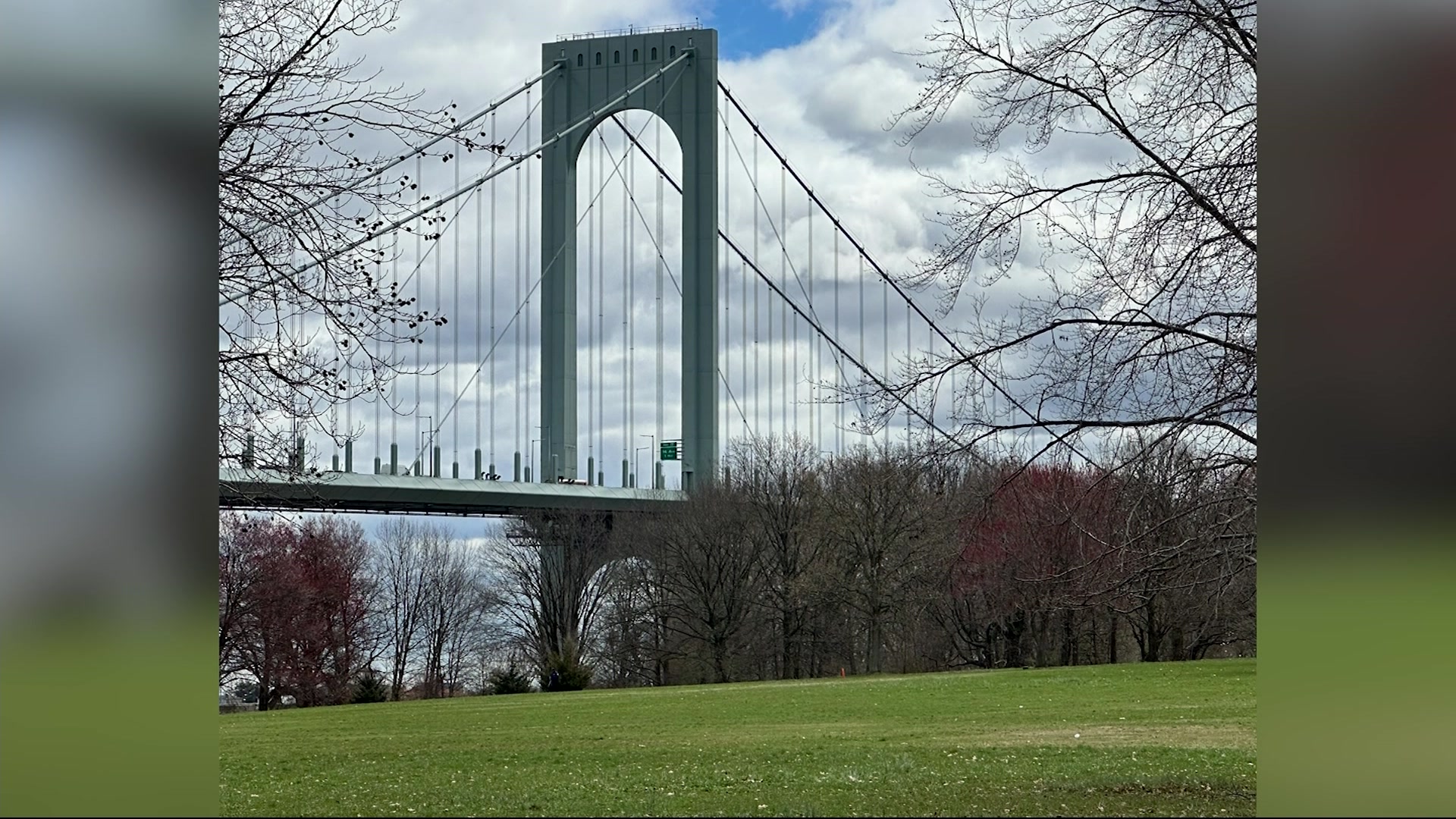 NYPD: 59 vehicles seized during ghost car and toll evasion bust on ...