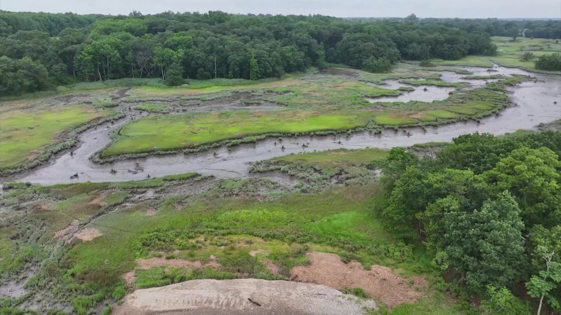 News 12 | Long Island | Marshlands Conservancy in Rye offers nature escape