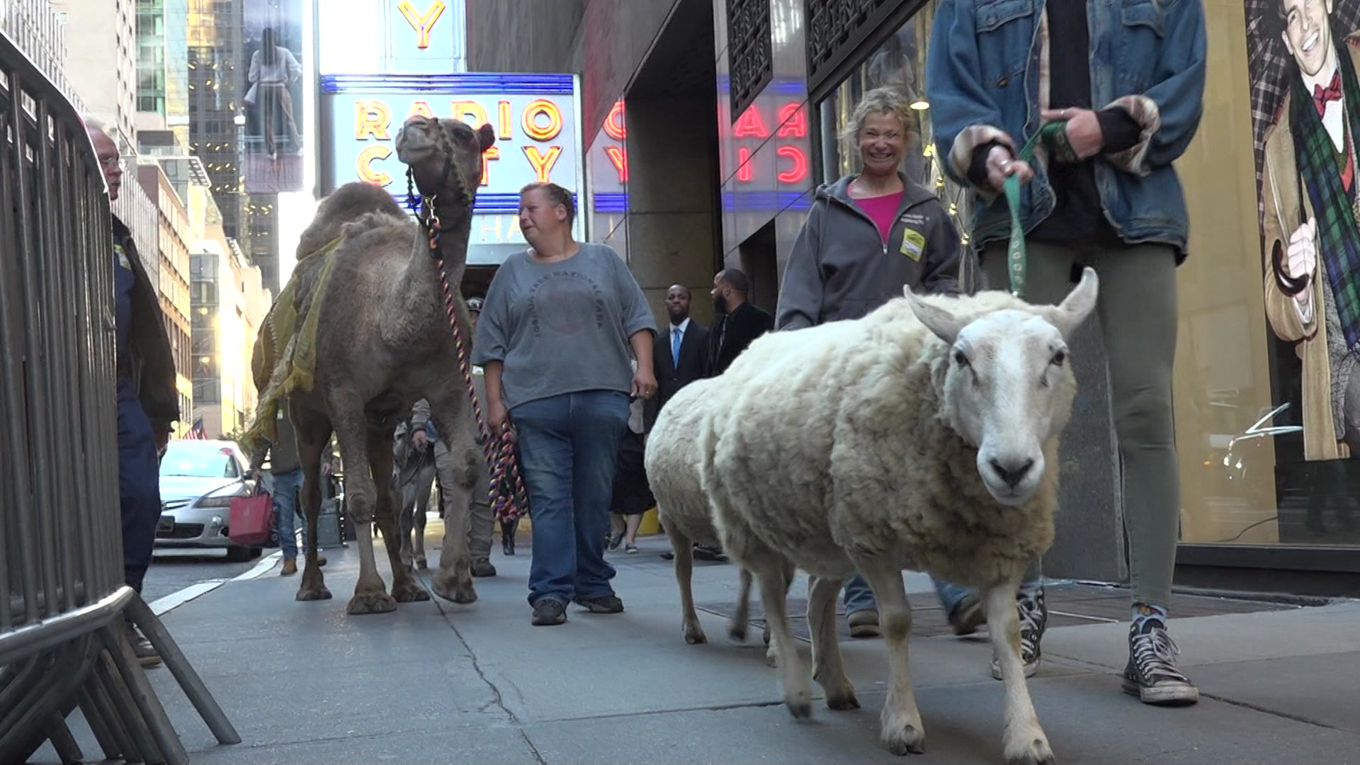 Radio City Christmas Spectacular welcomes new animal cast members