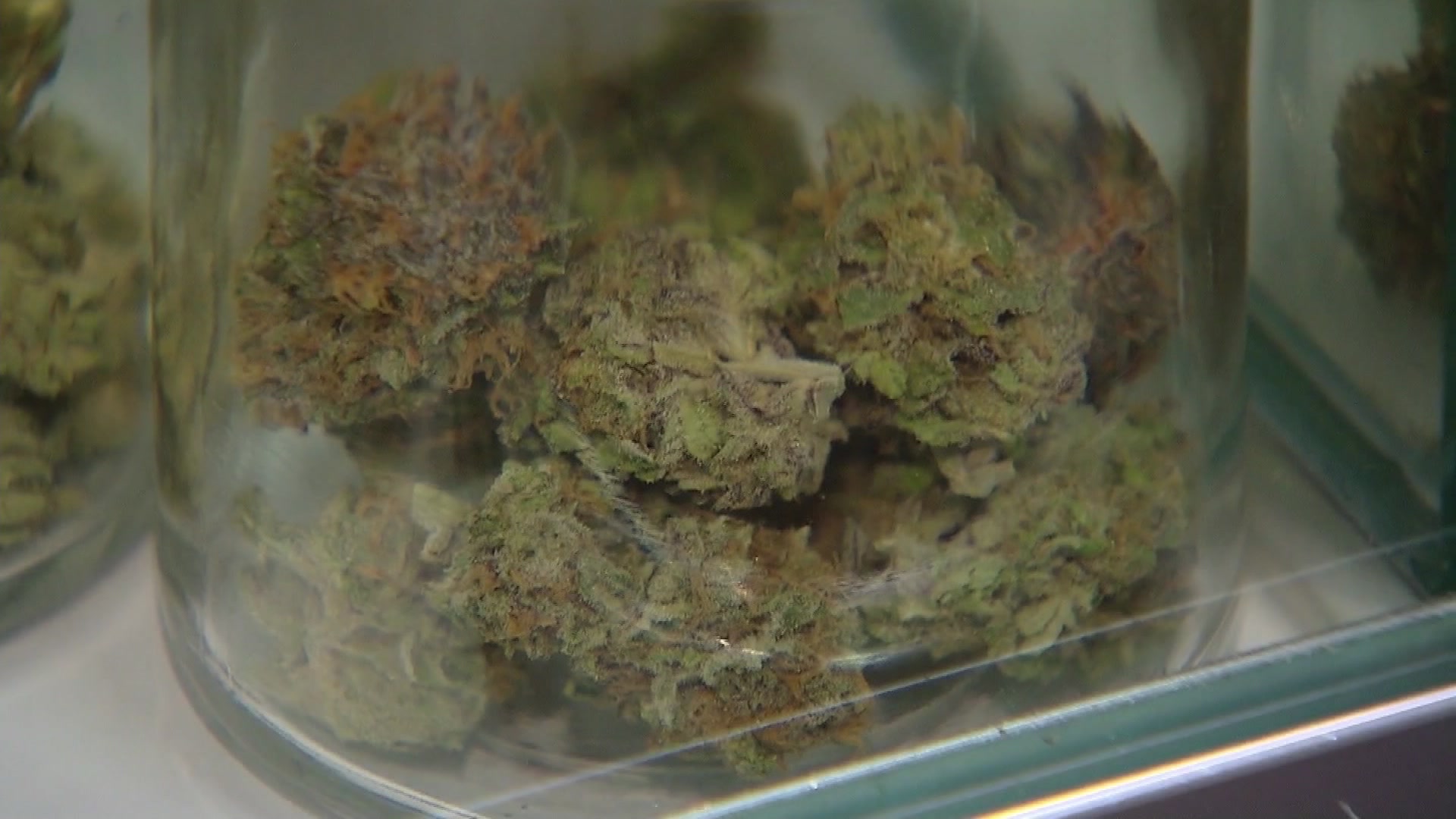 News 12 | New Jersey | Are Marijuana Lounges The Future Of The ...