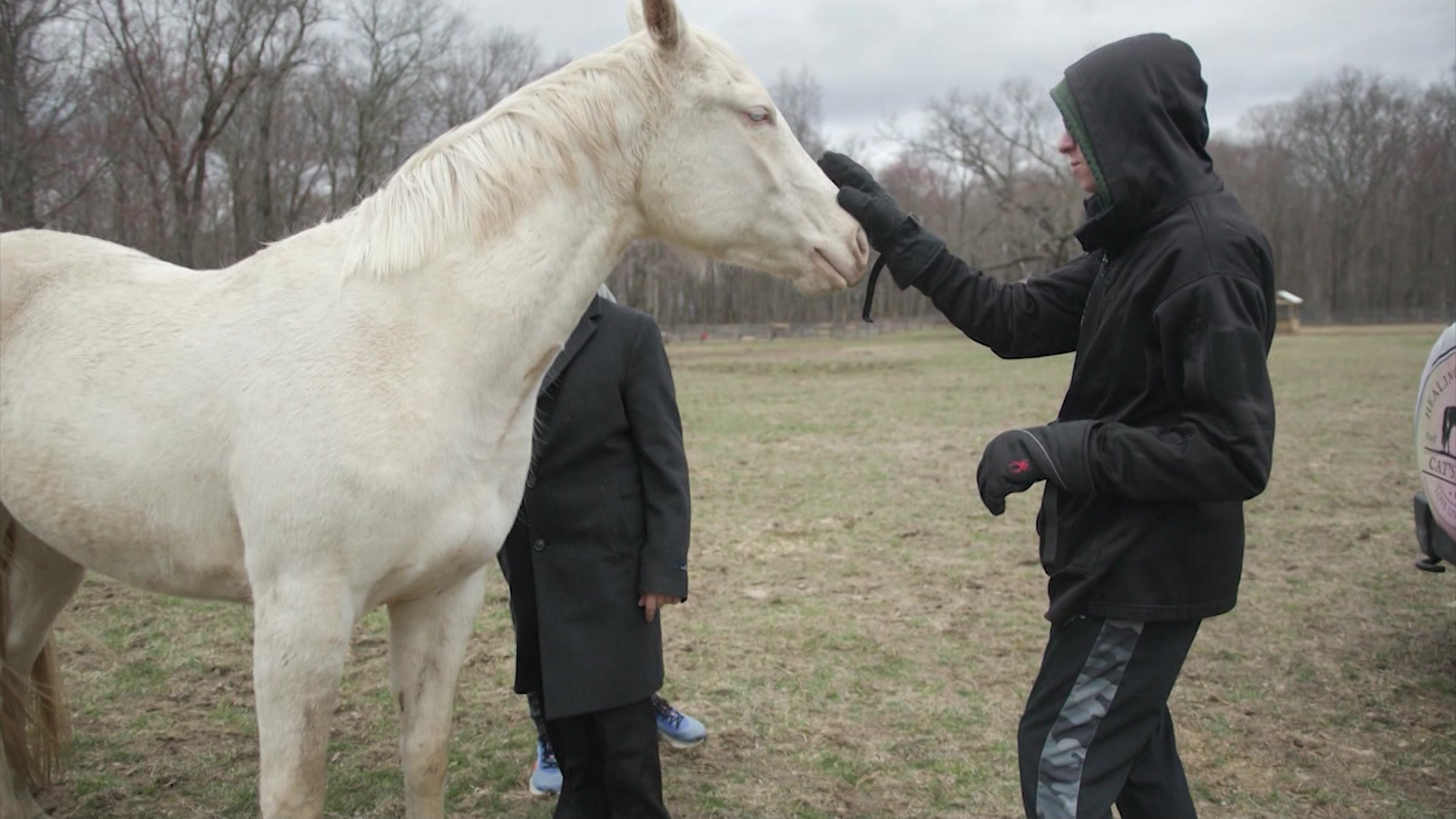 News 12 | Westchester | Hope On The Ranch Neurodivergent Young Adults ...