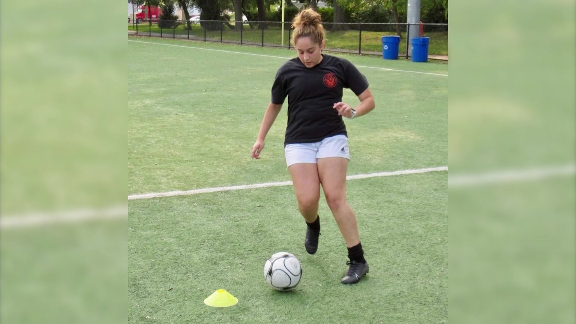 Scholar-Athlete: Linden High School senior Annika Labrador