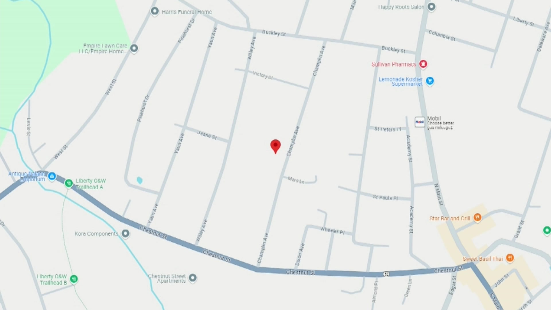 Detective injured by flash bang during Village of Liberty search ...