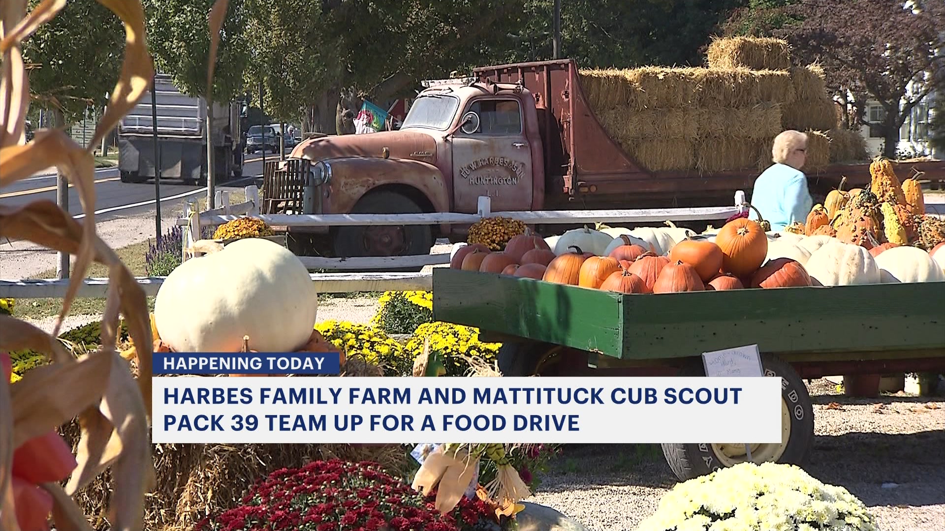 Long Island residents hold farm food drive for community at Harbes ...