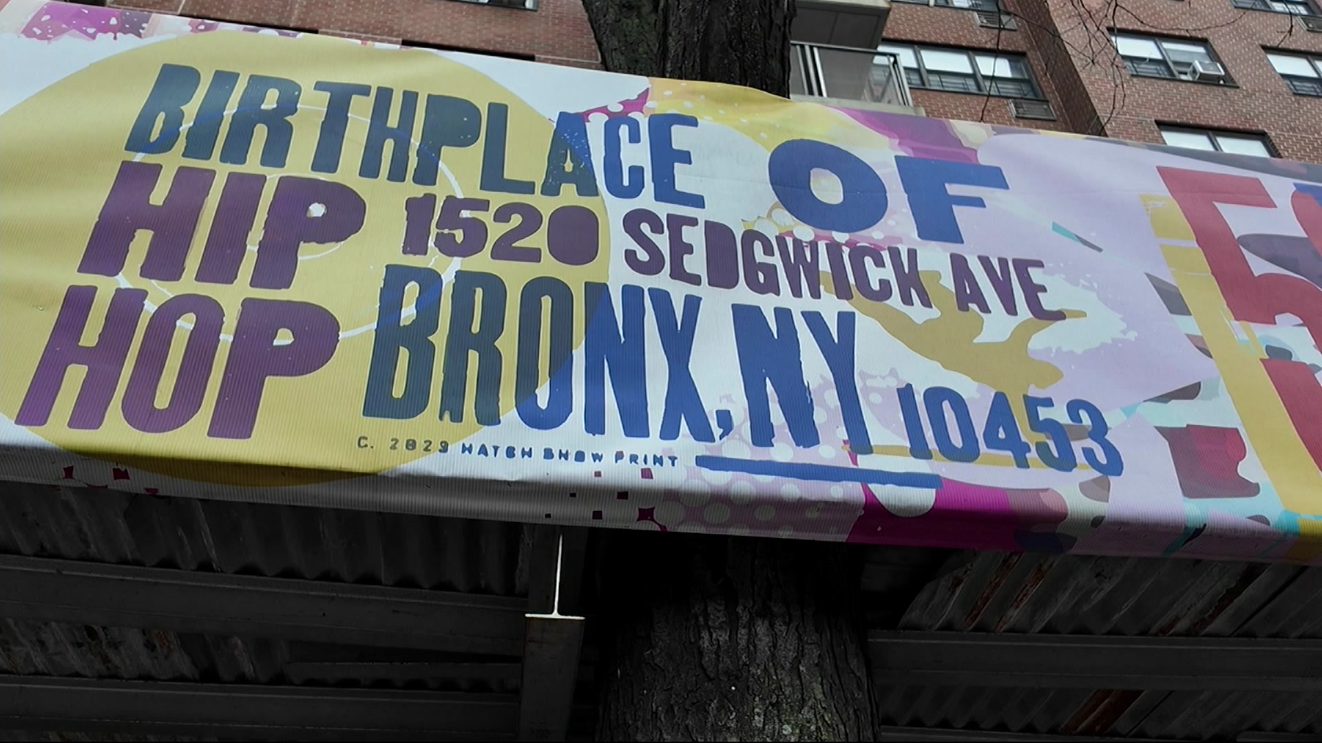 News 12 | Bronx | Bronx Building Issued 2500 Fine Over Birthplace Of ...