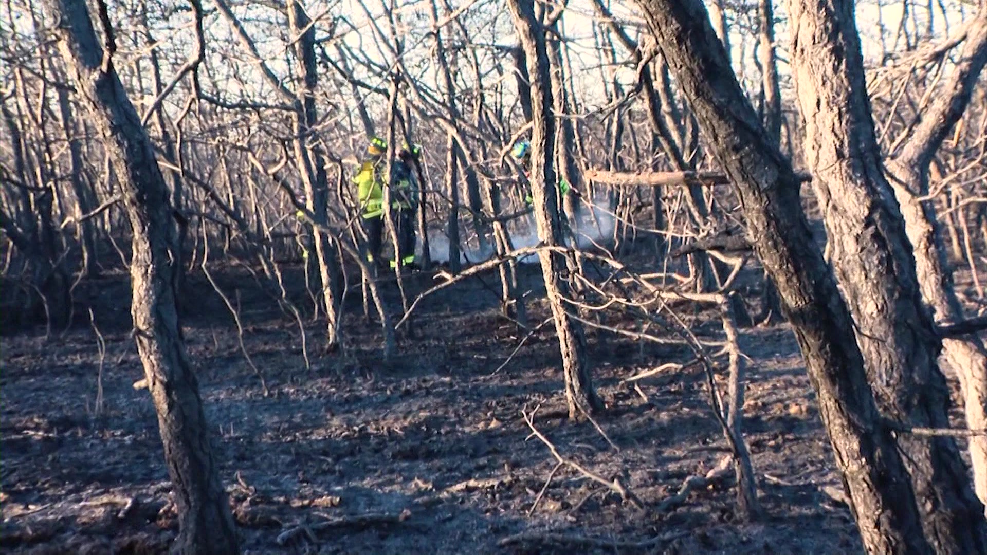 News 12 | New York | Westhampton fire ‘100% knocked down’ as ...