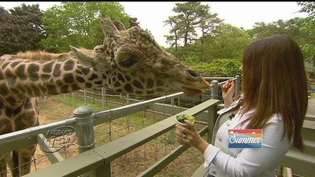 LI Summer: What's new at Long Island Game Farm