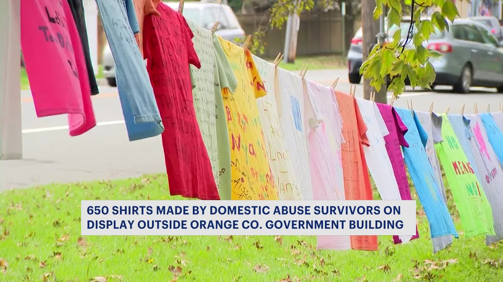 Fearless' annual clothesline project on display in Goshen for Domestic ...