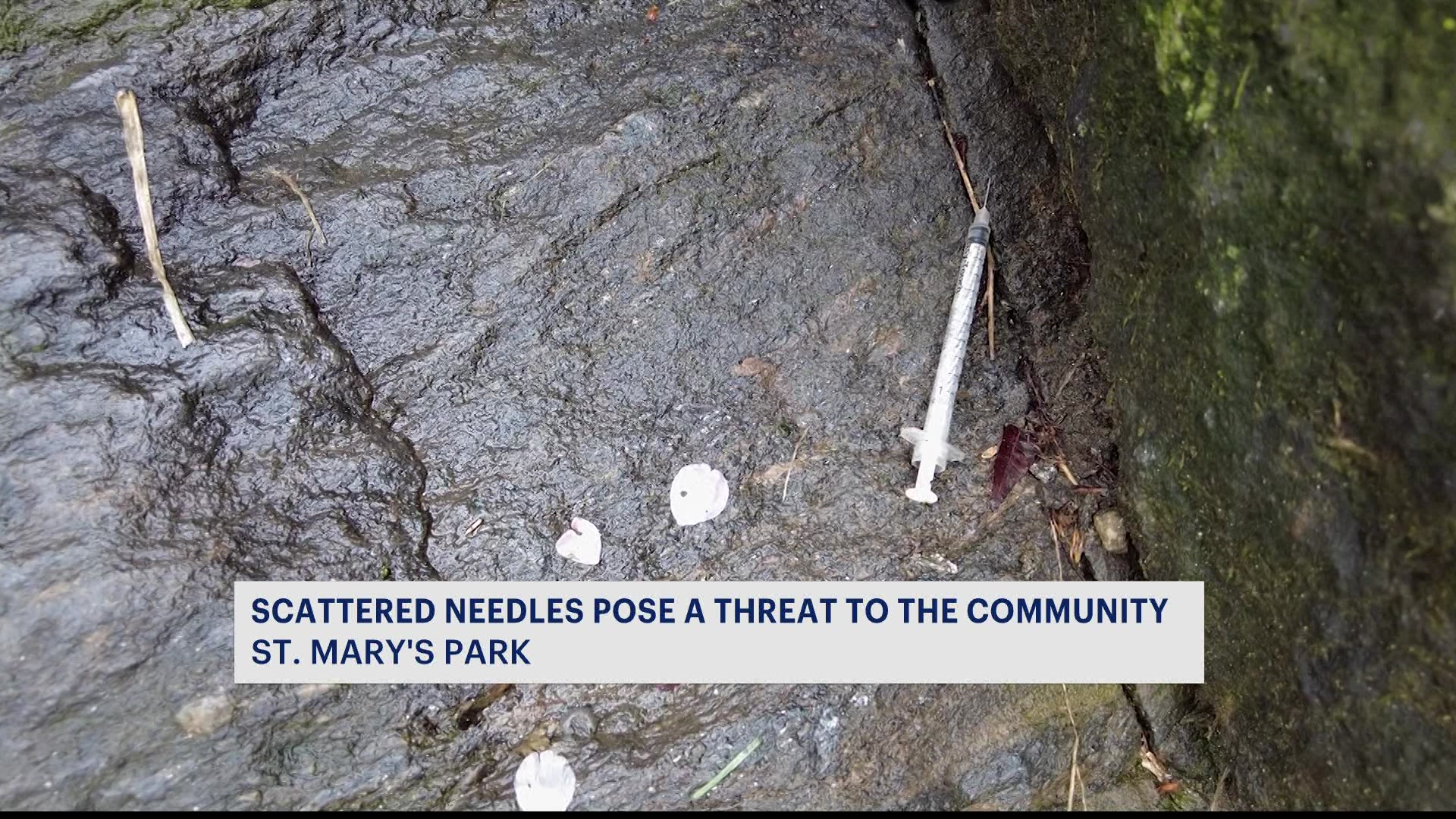 Community members worry for safety of pets, children over used needles ...