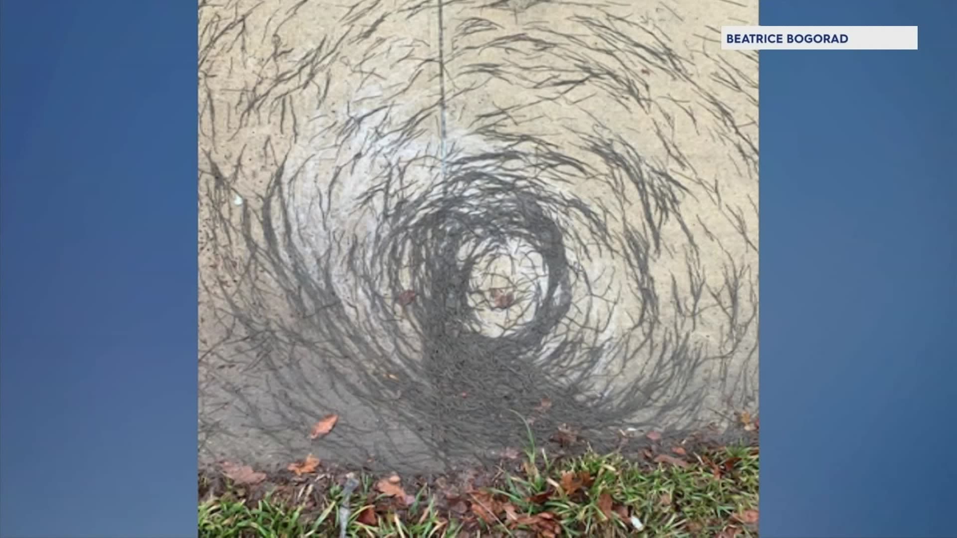 Gross! ‘Worm-nado’ takes over section of Hoboken sidewalk