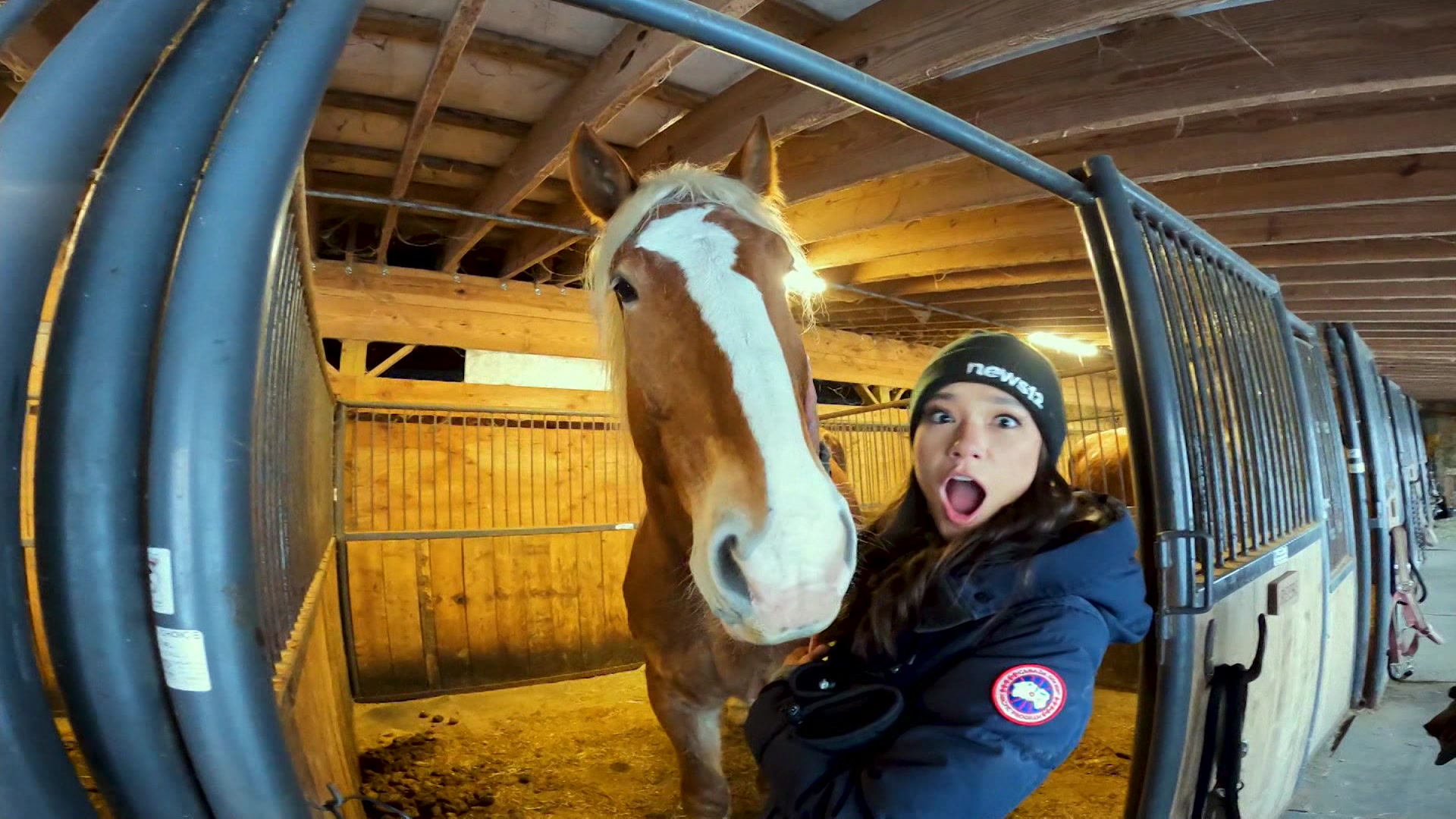 Experience the magic of Elk Ravine Farm: A family-owned haven in Amenia