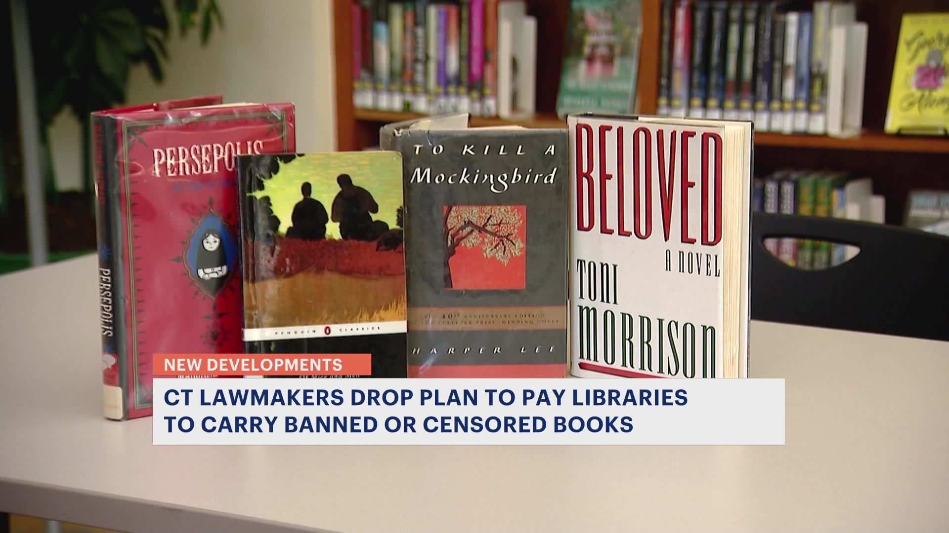 CT lawmakers drop plan to pay libraries to carry ban, censored books
