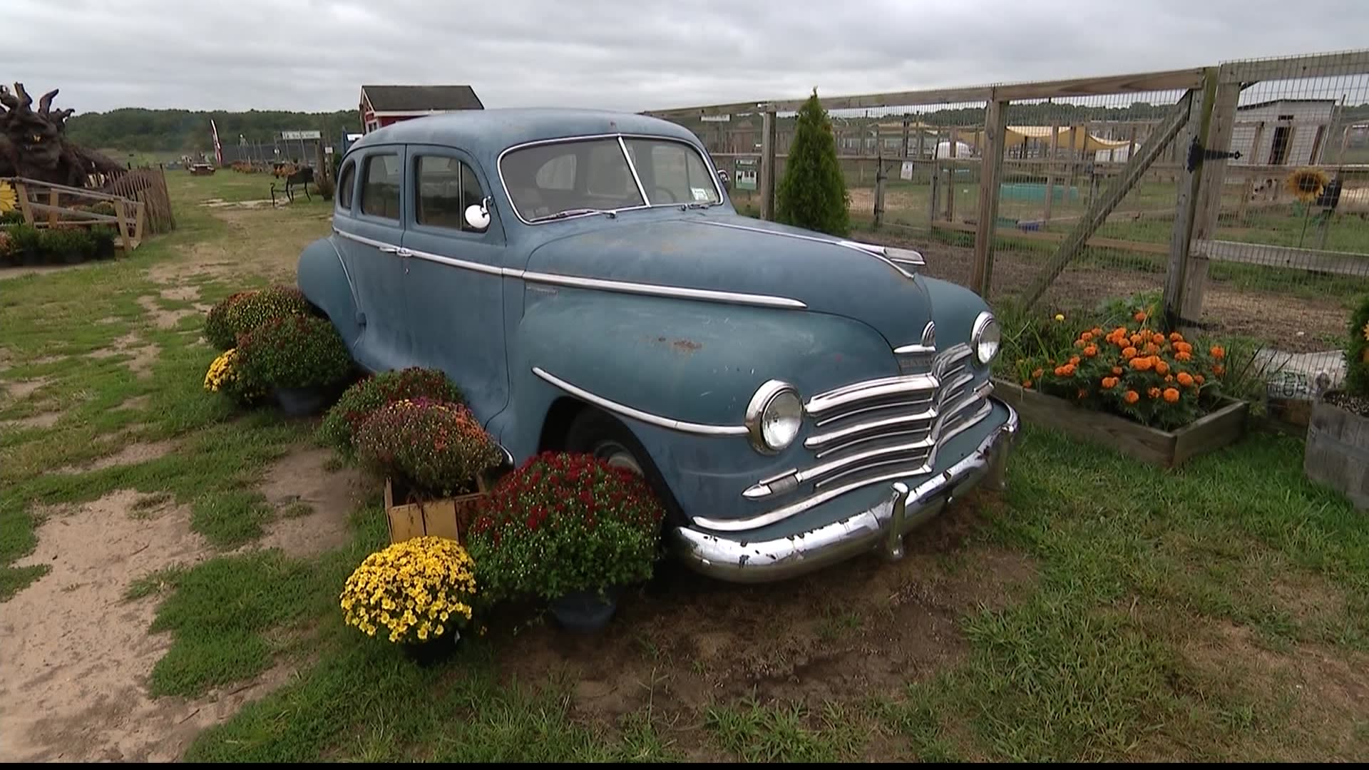 Get ready for some autumn fun at Waterdrinker Family Farm & Garden in ...