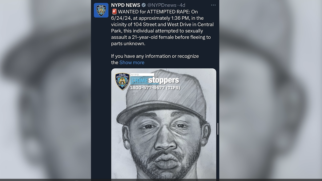 NYPD probe into attempted sexual assault in Central Park continues