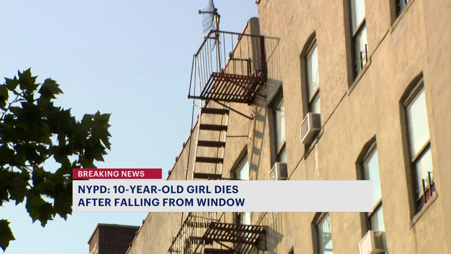 NYPD: 10-year-old suffers injuries linked to possible fall, dies in the ...