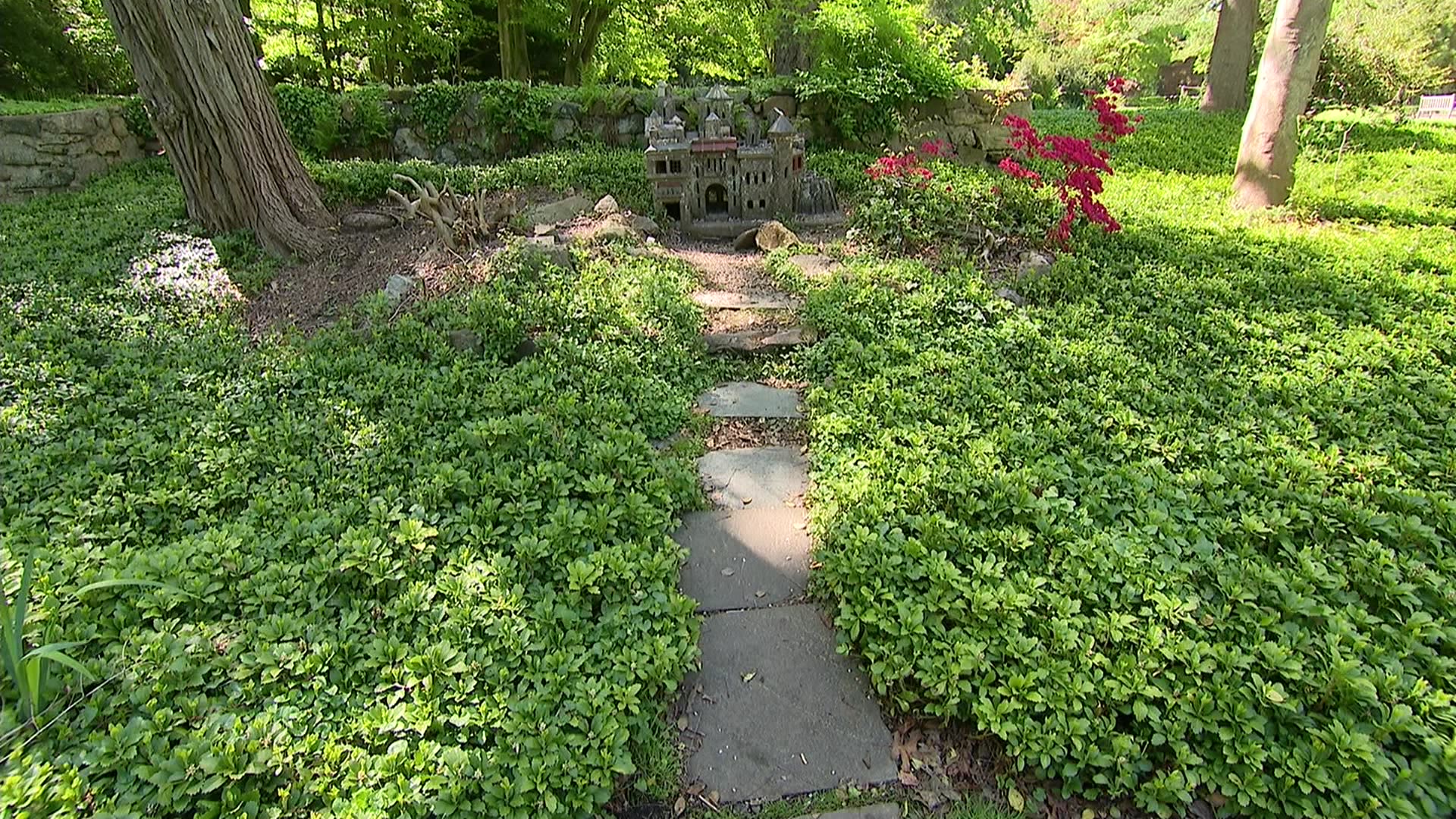 See extraordinary trees and beautiful blooms at Bailey Arboretum