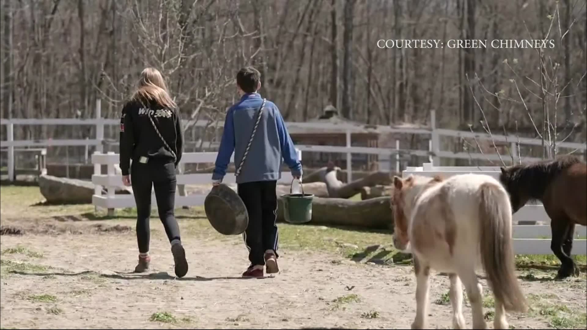 Green Chimneys in Brewster celebrates 75th year