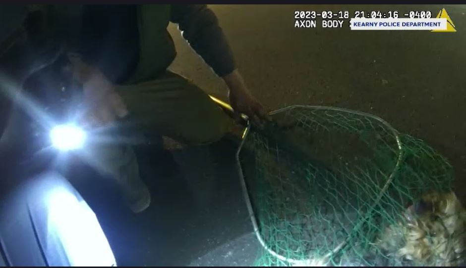 News 12 | New Jersey | Police Release Body Cam Video From Incident ...