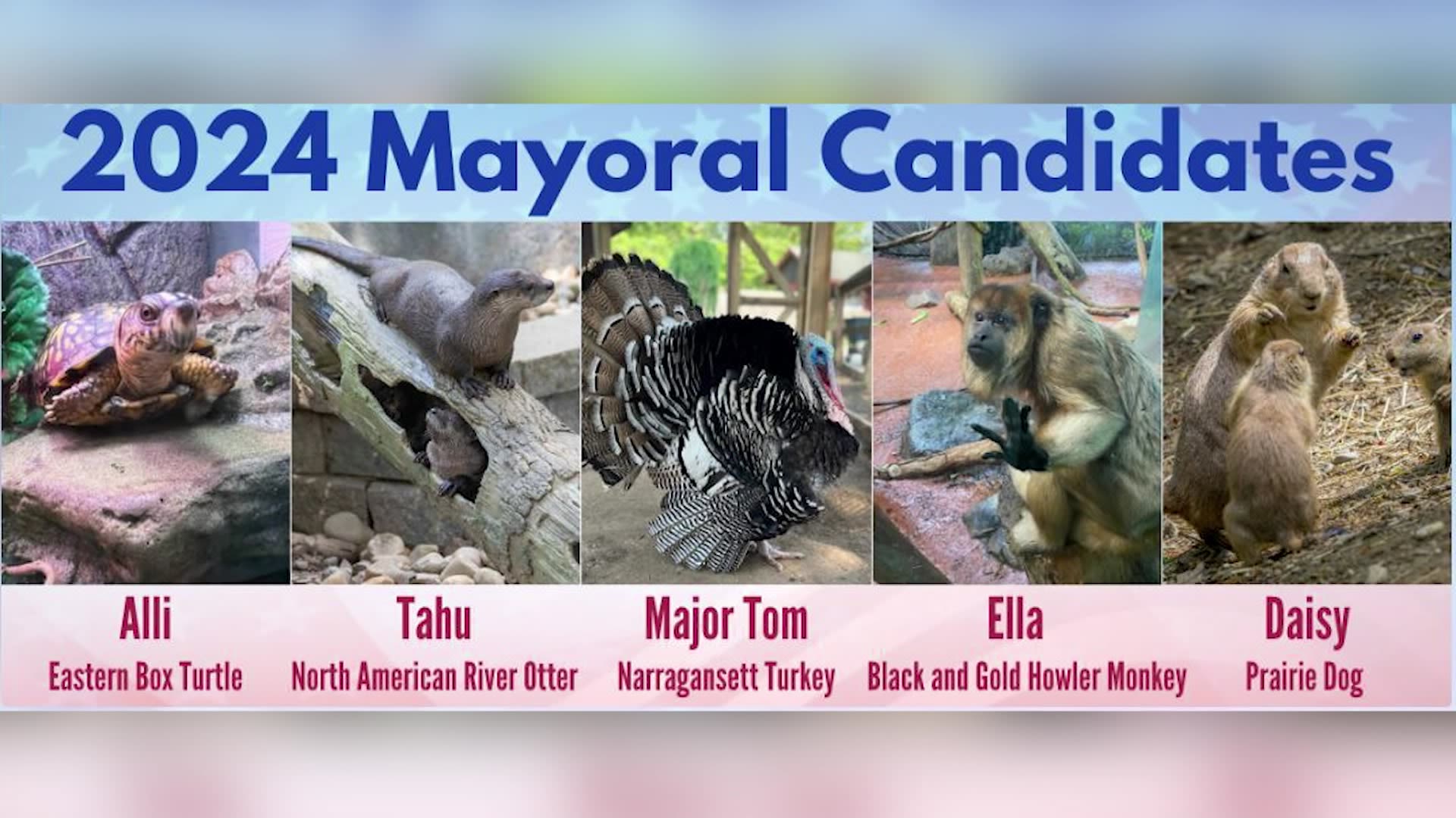 5 animals announce candidacy for Beardsley Zoo mayor race