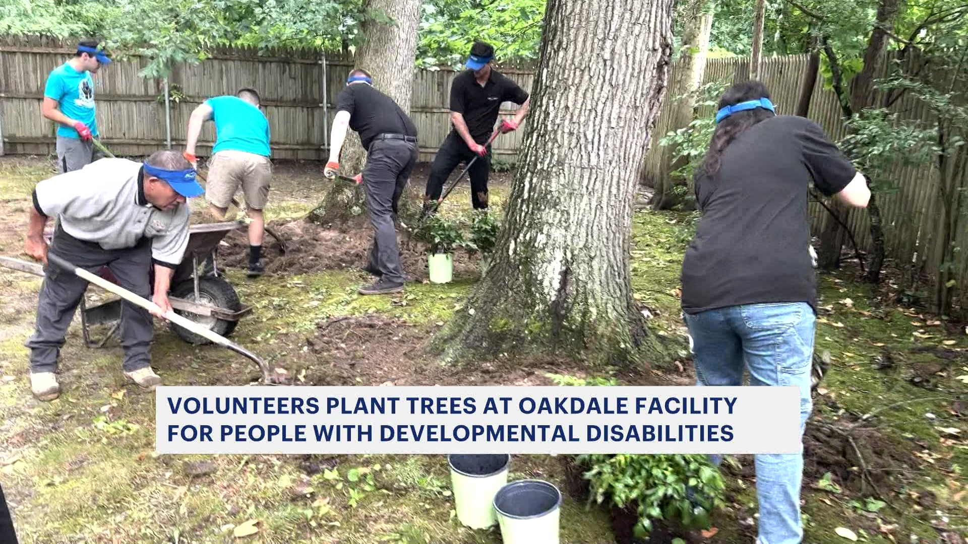 Volunteers plant trees at Oakdale facility for people with ...