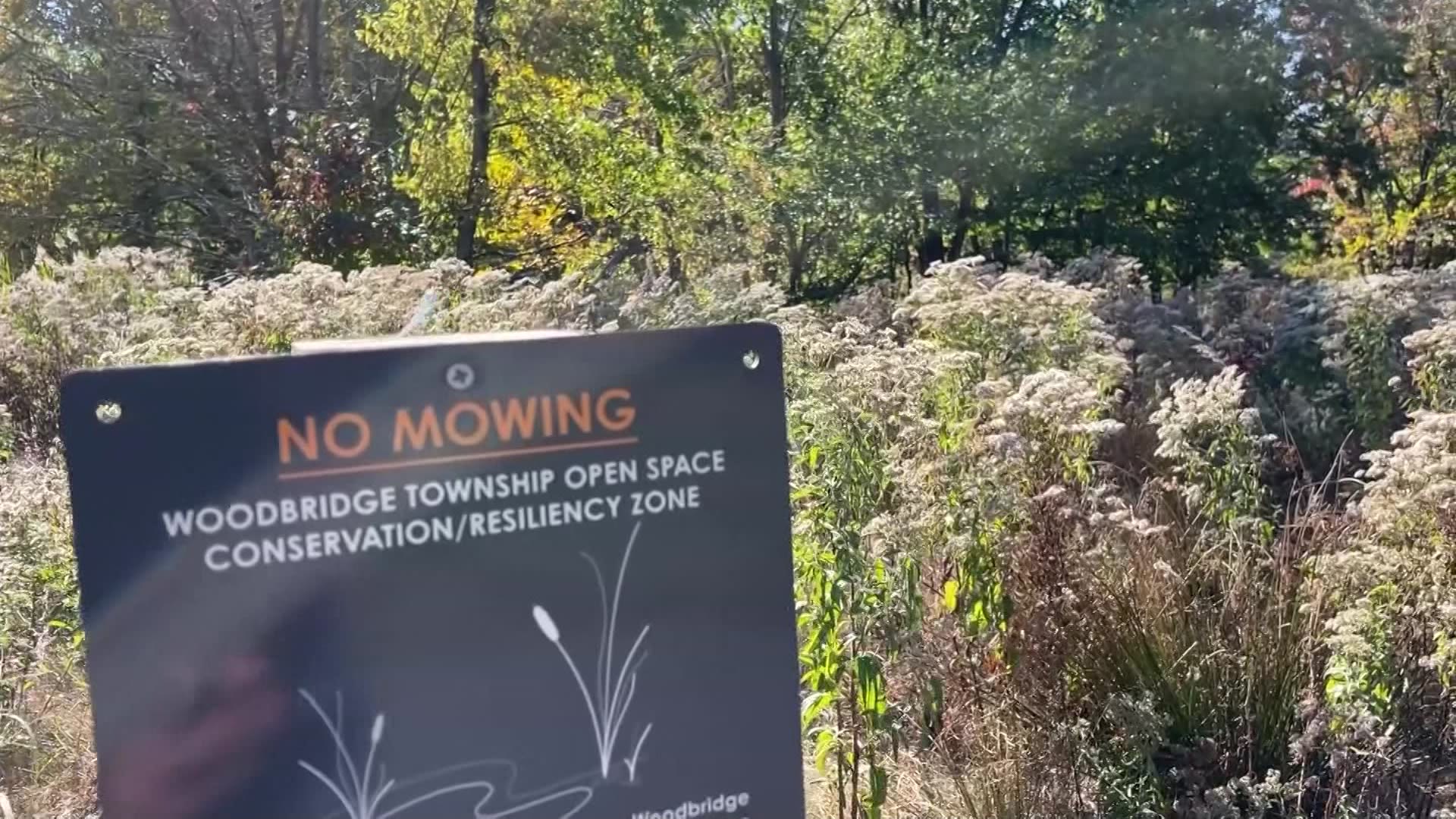 What happens when a neighborhood disappears? A look inside Woodbridge’s ...