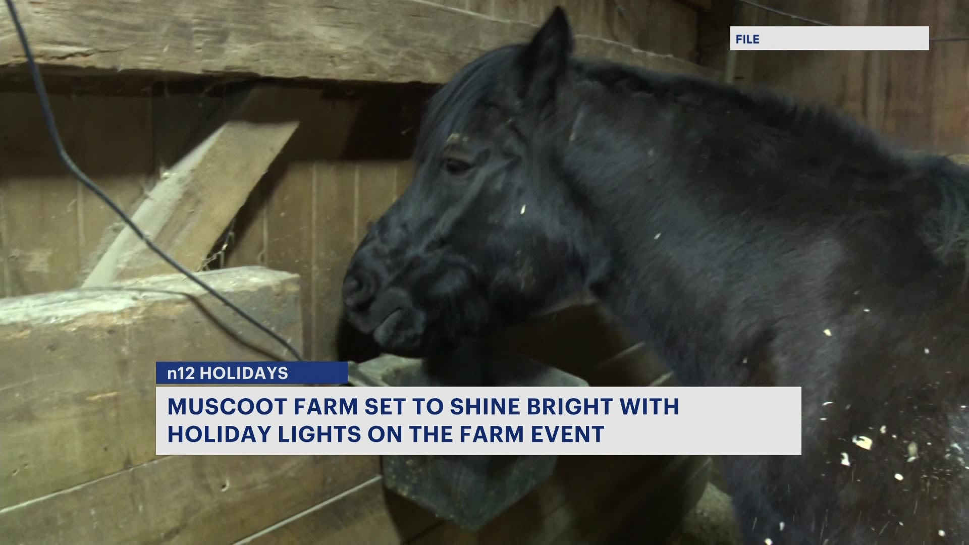 Muscoot Farm to host multiple holiday lights farm events