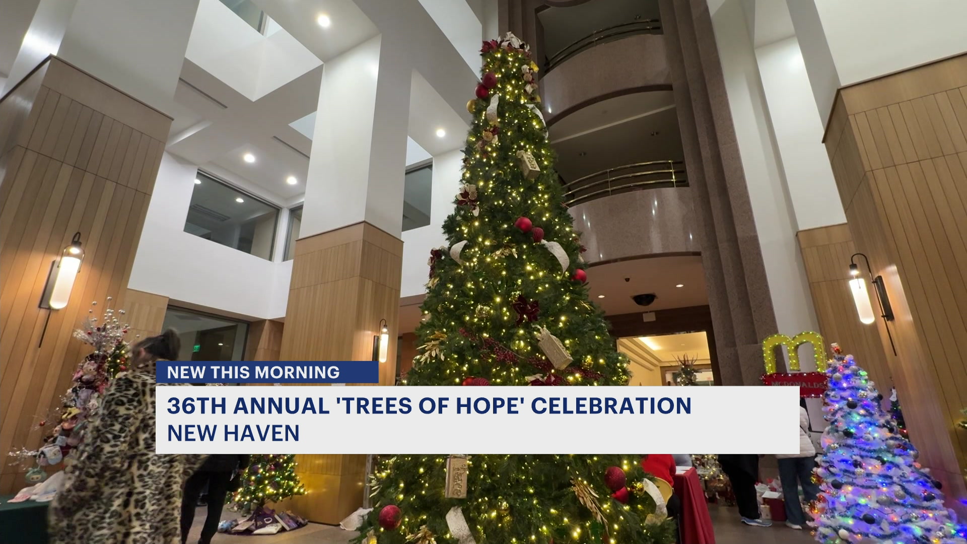 Trees of Hope Celebration in New Haven benefits children receiving ...