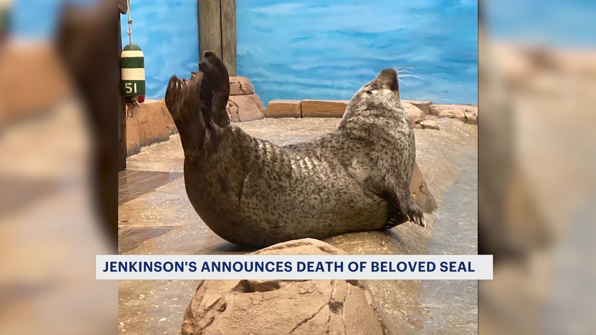 Beloved seal at Jenkinson’s Aquarium dies at age 34